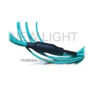 China 12 Core OM4 MPO MTP Cable for 40/100G Networks with MPO to LC Breakout for sale