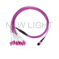 China Industrial 12 Core OM4 LSZH MPO MTP Cable for High-Speed Ethernet Networks for sale