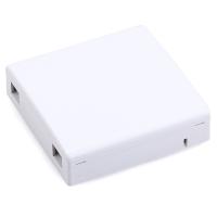 China 2 Fiber Capacity Wall Mountable FTTH Termination Box with ABS/PC Material for Indoor Use for sale