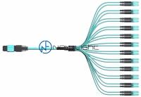 China 24 Fiber OM3-150/300 MPO MTP Cable with 40G/100G Transmission and Male Or Female Connector Options for sale
