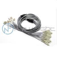 China 12F Fan-Out Armoured Multimode Optical Fiber Patch Cord with Customized Length for High-Density Wiring for sale