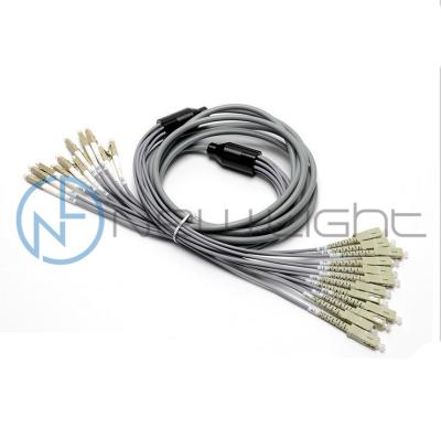 China 12F Fan-Out Armoured Multimode Optical Fiber Patch Cord with Customized Length for High-Density Wiring for sale