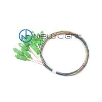 China 0.9mm 12 Cores LSZH Jacket Fiber Optic Pigtail and Fiber Jumper Cable for High-Performance Networks for sale