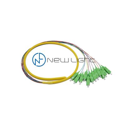 China Rugged 12core Loose Tube SC Fiber Pigtail 0.9mm for High-Performance Multifiber Cable Assemblies for sale
