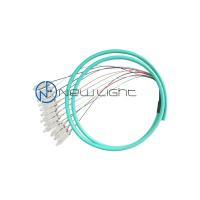 China 12core Multimode Fiber Optic Pigtail with 0.9mm Diameter for High-Speed Data Transmission for sale