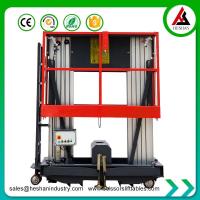 China 12m Electric Mast Lift Aerial Platform Hydraulic Vertical Man Lift Ladder for sale