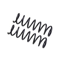 China FARPREEY 3S415560AA 5S435560EA  Ear Suspension Coil Spring Set for 2005-2011 Ford Focus Mazda 3 for sale