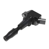 China FARPREEY 273002GGA0  Ignition Coil for 2017- Hyundai Sonata 2.0T for sale