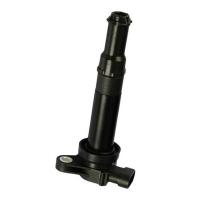 China FARPREEY 273013E100 Ignition Coil  for  2001-2006 Hyundai Santafe 2.7L for sale