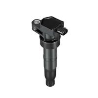 China FARPREEY 273013C000  Ignition Coil for 2006-2013 Hyundai VERACRUZ for sale