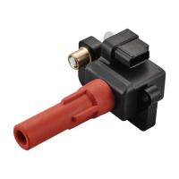 China FARPREEY 22433AA441 Ignition Coil  for 2003-2009 Subaru OUTBACK BP for sale