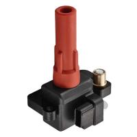 China FARPREEY 22433AA441 Ignition Coil  for 2003-2009 Subaru OUTBACK BP for sale