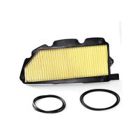 China FARPREEY 17215-HL4-A02  Air Filter for 2006-2023 Honda Pioneer for sale