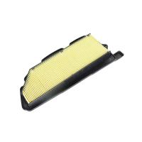 China FARPREEY 17215-HL4-A02  Air Filter for 2006-2023 Honda Pioneer for sale