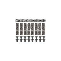 China FARPREEY BTR31218110 Higher-quality Camshaft Kit for 2011–2016 Chevrolet Silverado/GMC Sierra with 4.8L/5.3L/6.0L LS Engines for sale