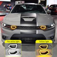 China Suitable for 2015-2019 Dodge Charger SRT Centre Grille Light Pig Nose Light 68417504AA 68417505AA for sale