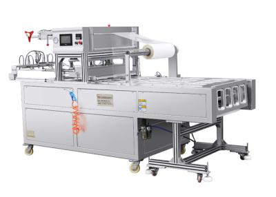 China Linear Automatic Vacuum MAP Sealing Machine Gas Flush Equipment For Perserving Food for sale