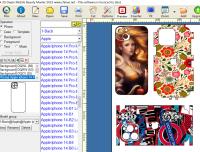 China Daqin Laptop / Video Games Pc Beauty Software Customized Stickers for sale