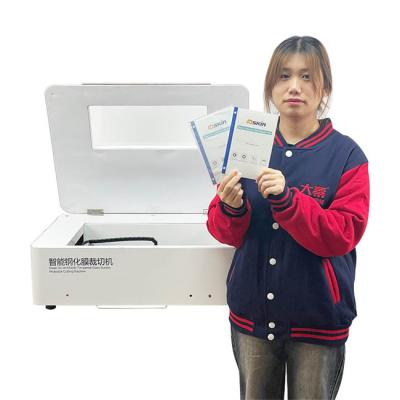 China Daqin Mobile Tempered Glass Screen Protector Laser Cutting Machine For Latest Cutting Die And Graphic Data for sale