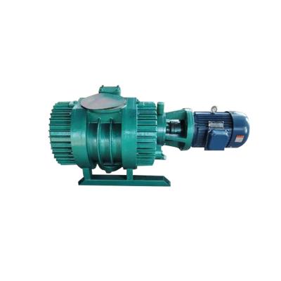 China ZJ ZJB Series Roots Vacuum Pump 1.10kw 11kw for Electronics Machinery High Vacuum Booster for sale