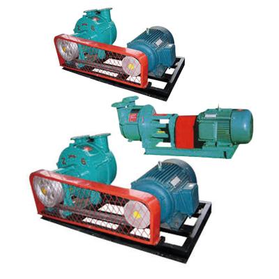 China Cast Iron Water Ring Vacuum Pump 1000 M3/hr 3500 Rpm Flange Thread Clamp for sale