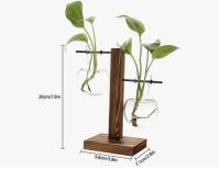 China Desktop Hydroponic Terrarium Decorative Glassware With Wooden Stand for sale