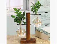 China Desktop Hydroponic Terrarium Decorative Glassware With Wooden Stand for sale