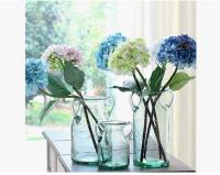 China Desktop Hydroponic Terrarium Decorative Glassware With Wooden Stand for sale