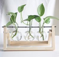 China Tabletop Vintage Hydroponic Plant Vase With Wooden Frame Decor for sale