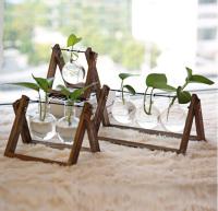 China Tabletop Vintage Hydroponic Plant Vase With Wooden Frame Decor for sale