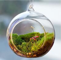 China Novolink High Borosilicate Glass Terrarium Vase Decorative Glassware for sale