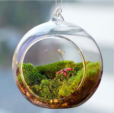 China Novolink High Borosilicate Glass Terrarium Vase Decorative Glassware for sale