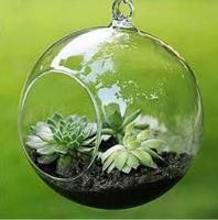 China Novolink High Borosilicate Glass Terrarium Vase Decorative Glassware for sale