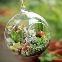 China Novolink High Borosilicate Glass Terrarium Vase Decorative Glassware for sale