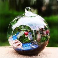 China Novolink High Borosilicate Glass Terrarium Vase Decorative Glassware for sale