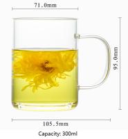 China Single Wall High Borosilicate Glass Cup Glass Mug Glass Tea Cup Minimalist Design 300ML for sale