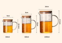China Double Walled Borosilicate Glass Mug With Lid For Coffee Tea Water for sale