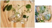 China OEM Semi Sphere Planter Bulb Vase Wall Hung Terrarium Daily Use for sale