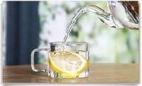 China Novolink 150ml Borosilicate Glass Mug Set Of 6 Clear Transparent for sale