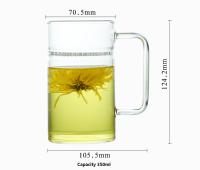 China Novolinkl/OEM ODM 350ml Borosilicate Glass Teapot Mug For Loose Leaves Herbal for sale