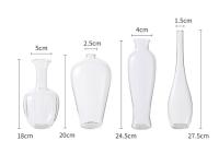 China Heat Resistant Decorative Glassware Terrarium For Hydroponics Plants for sale
