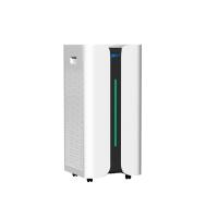 China 2750 Sq. Ft. Pet hair purifier with Timer and Antibacterial Cotton for sale