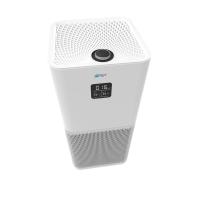 China Silent Pet Odor Purifier with Antibacterial HEPA Filter Negative Ion and 650 M3/h CADR for sale