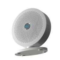 China Night Mode Enabled HEPA H13 Filter Air Purifier for Small Spaces 220 Sq. Ft. Coverage for sale
