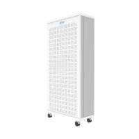 China 12-Month Filter Life Standing Air Purifier with HEPA Filtration for Large Spaces for sale