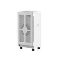 China H13 HEPA and Activated Carbon Air Purifier for Pet Odor and Allergen Removal for sale