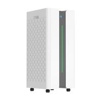 China Smart Pet Odor Eliminator Air Purifier With Remote Control And Advanced Airflow for sale