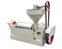 China Automatic Soybean Oilpressing 300kg/H Screw  Oil Press Machine Mustard Oil Expeller for sale