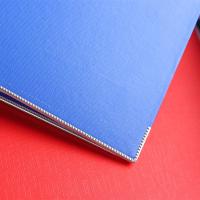 China Organize Your Documents with A4 PVC Ring Binder File Folder Featuring Hole Binder Clip for sale