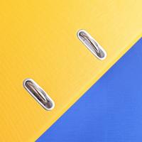 China Organize Your Documents with A4 PVC Ring Binder File Folder Featuring Hole Binder Clip for sale
